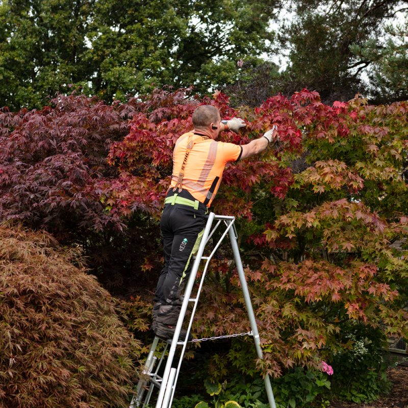 Orchard Ladders - 3 leg adjustable Garden tripod ladders