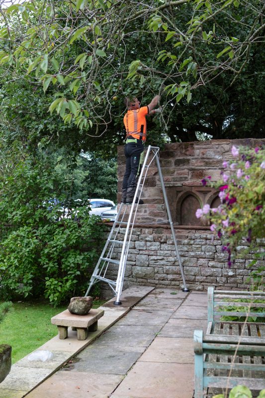 Orchard Ladders - 3 leg adjustable Garden tripod ladders