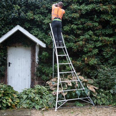 3 legged Ladders - Orchard tripod garden ladders