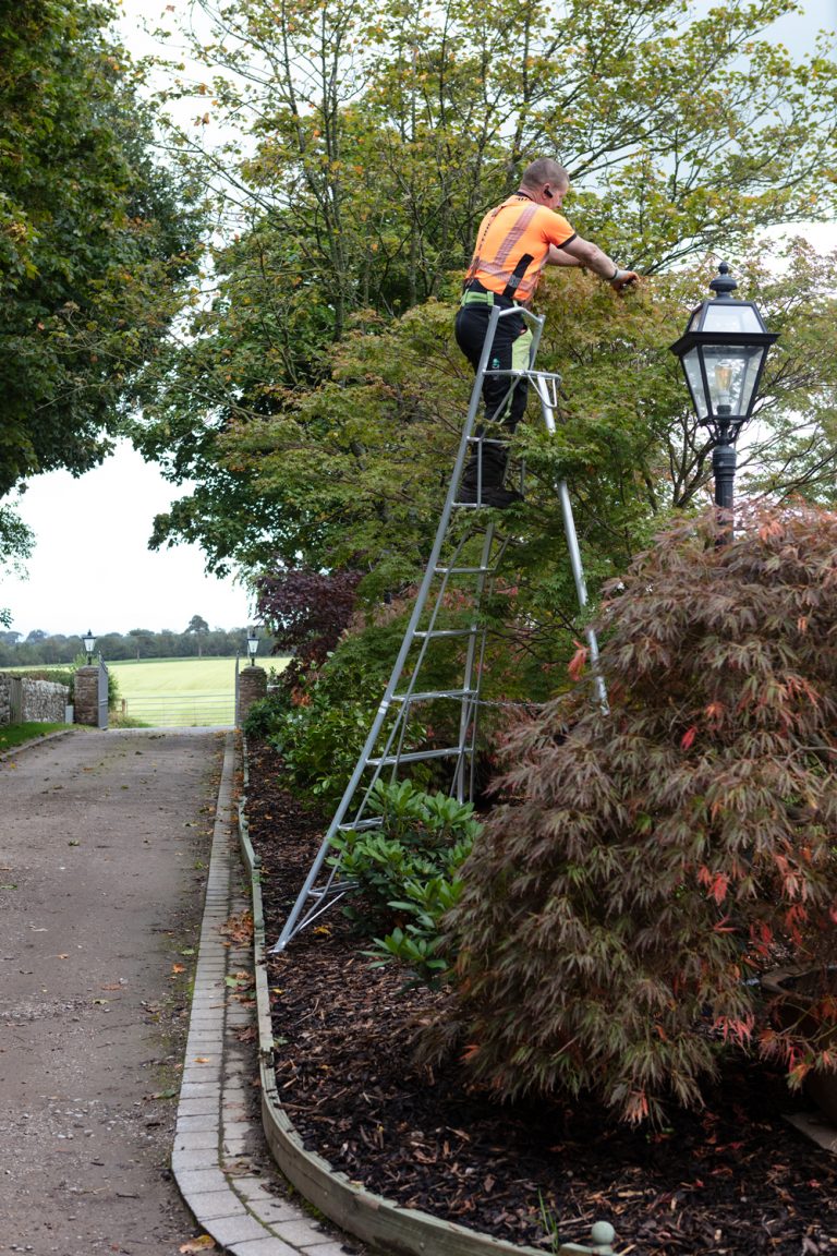 Orchard Platform Tripod Ladders - Garden Ladders