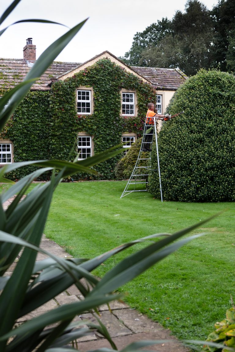 3 legged Ladders - Orchard tripod garden ladders