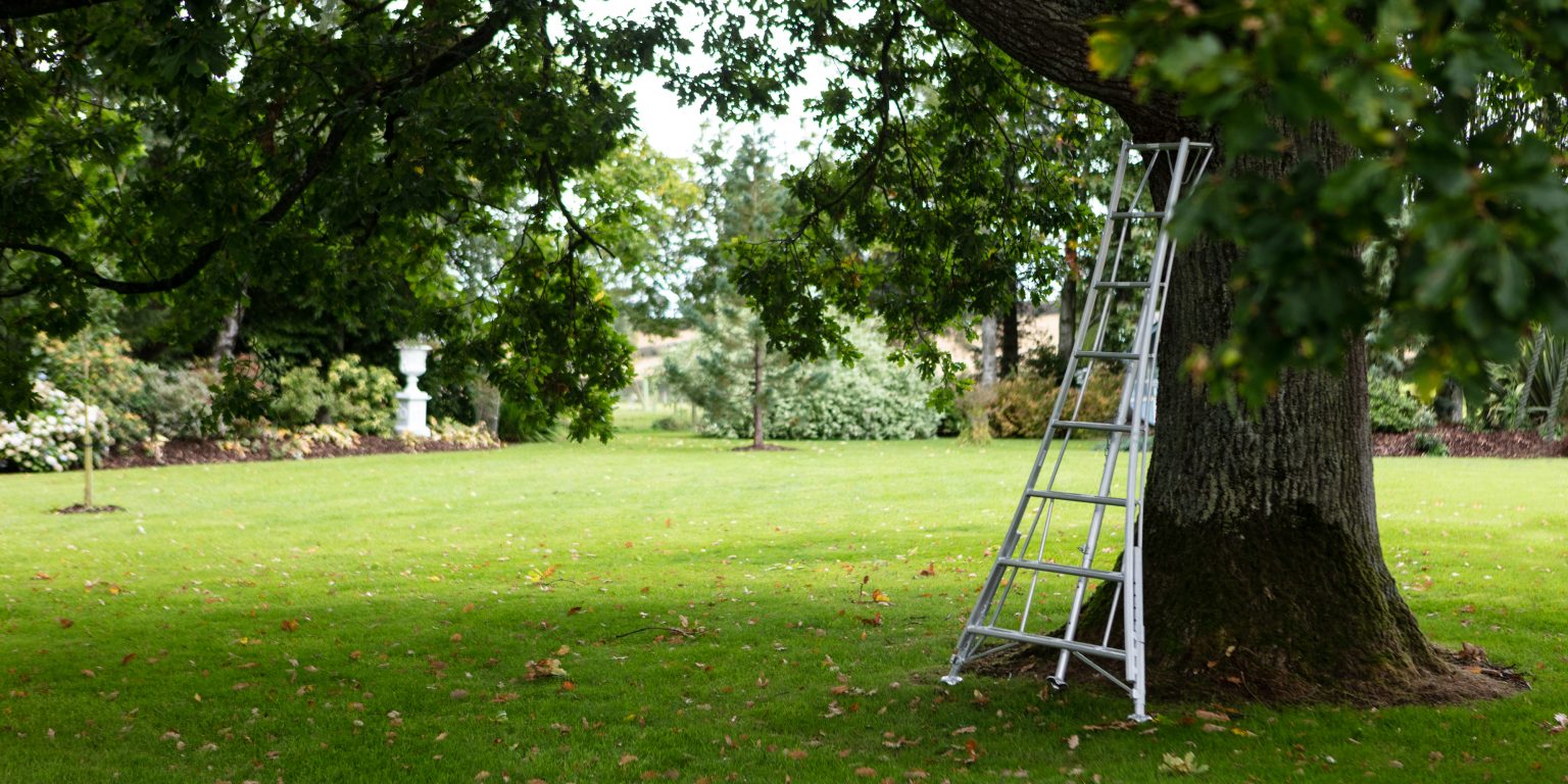 Orchard Ladders - 3 leg adjustable Garden tripod ladders