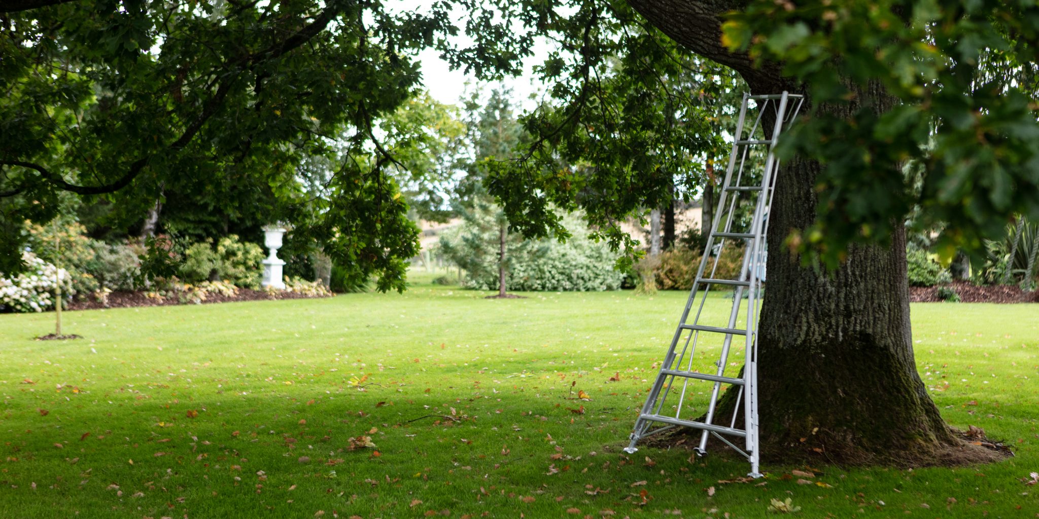 Orchard Ladders - 3 leg adjustable Garden tripod ladders