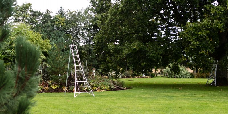 3 legged Ladders - Orchard tripod garden ladders