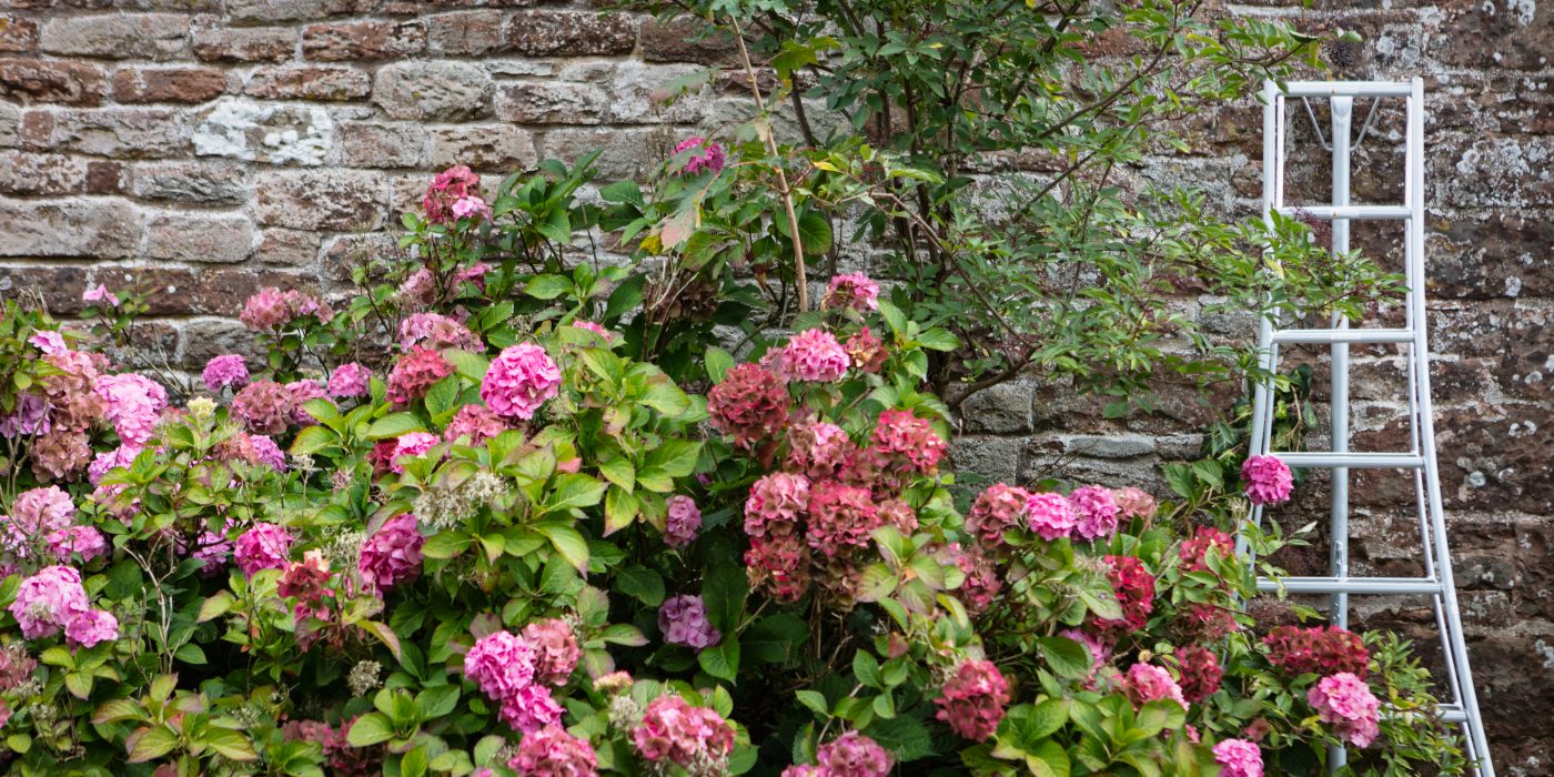 3 legged Ladders - Orchard tripod garden ladders